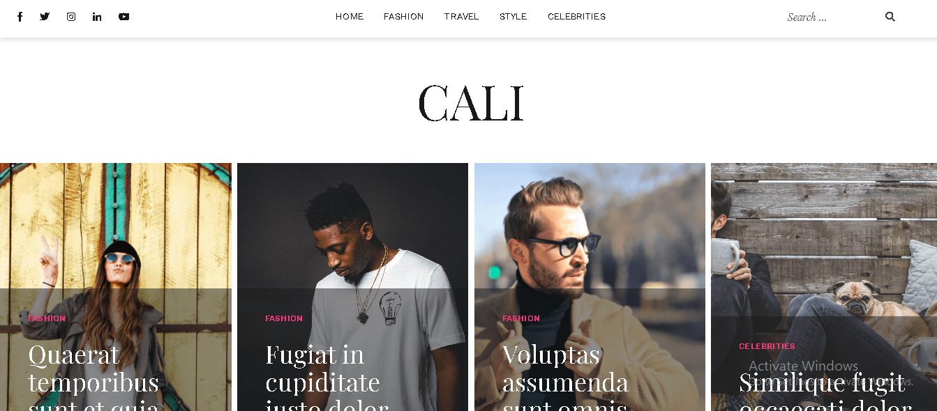10 Best Free WordPress Themes For New Bloggers - SEO Pavan Agrawal